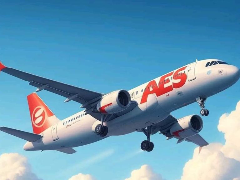 Burkina Faso : La création d'une compagnie aérienne au sein de...